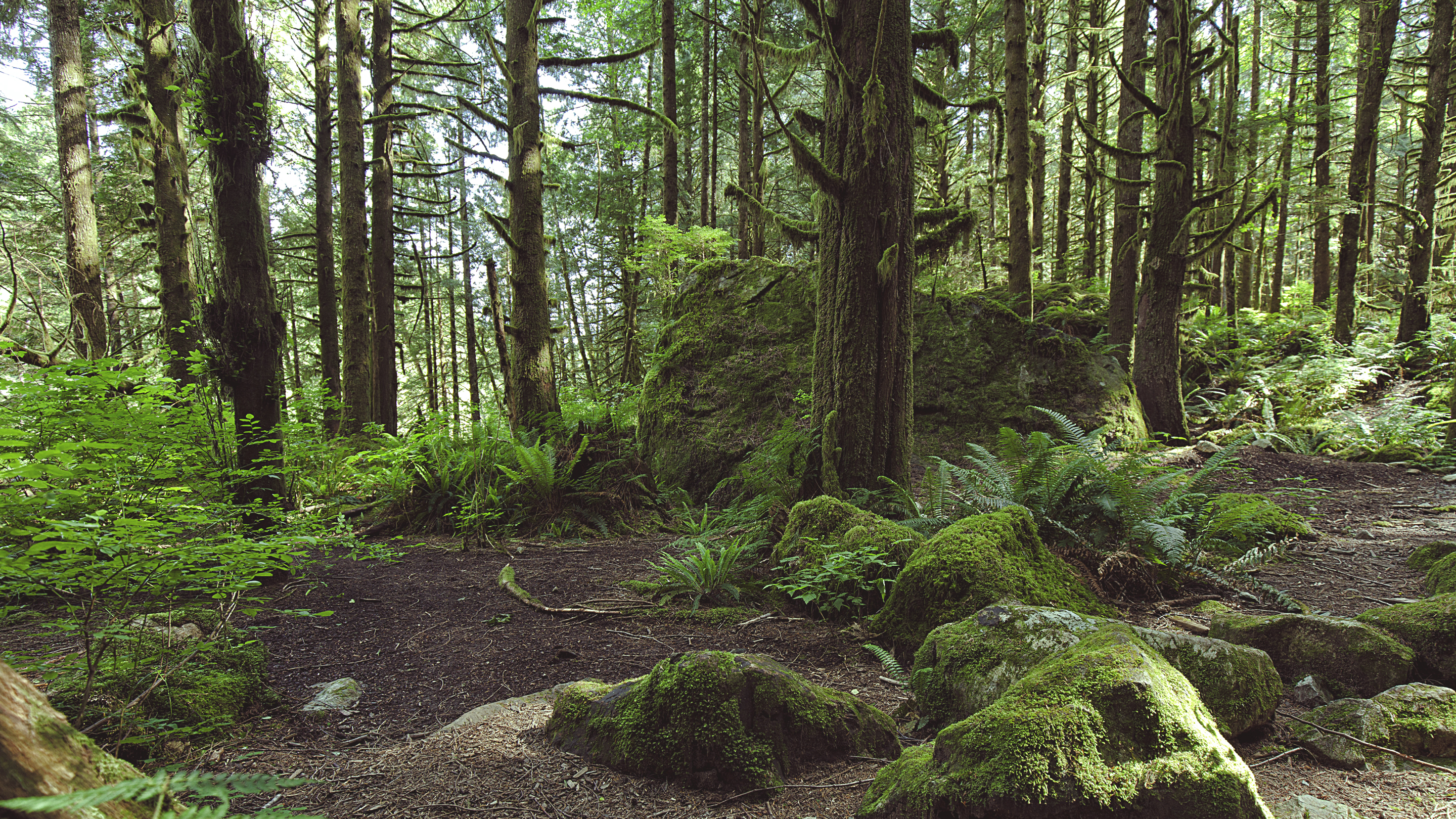 The New Federal Impact Assessment Act | Knowledge | Fasken